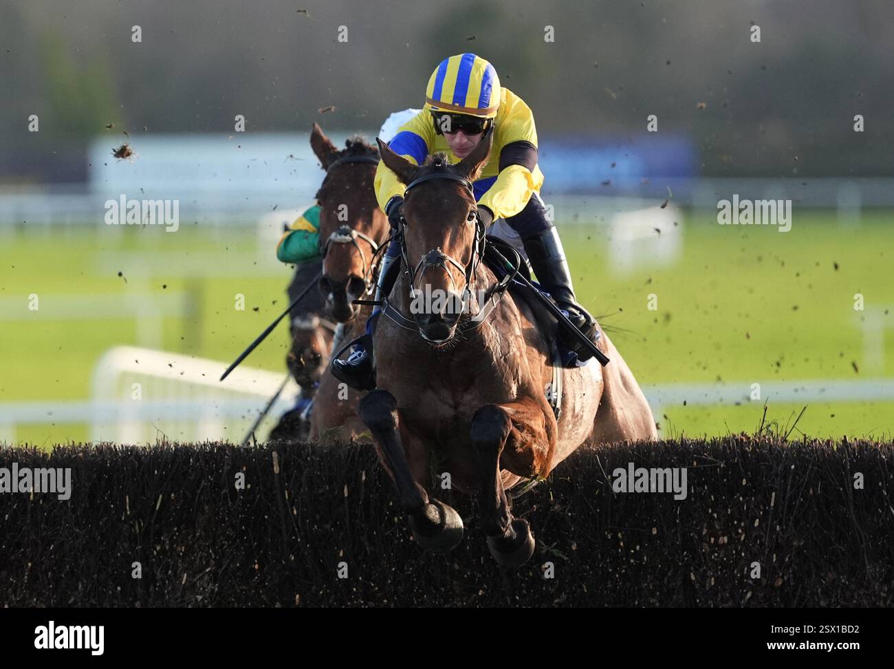 Spindleberry ridden by Paul Townend jumps the last on the way to ...