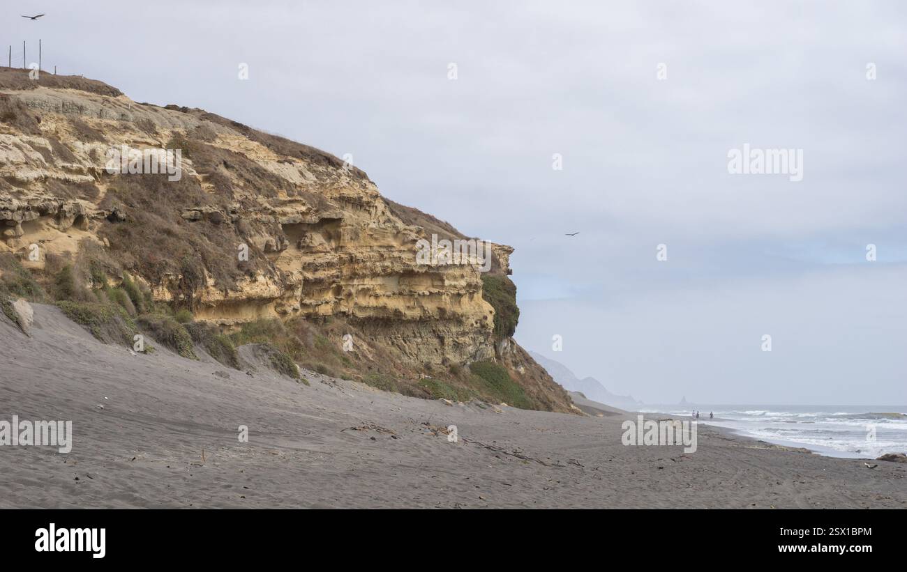 coastal cliff made on sedimentary rocks at Vega de Pupuya, O'Higgins ...