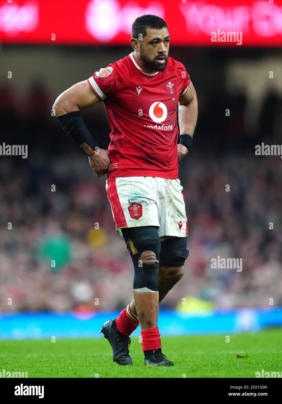 Wales' Taulupe Faletau during the Guinness Men's Six Nations match at ...