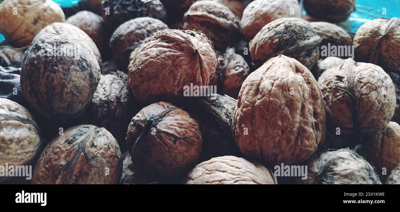 Walnuts close-up. Harvest of nuts. Walnut fruits, rounded large single ...