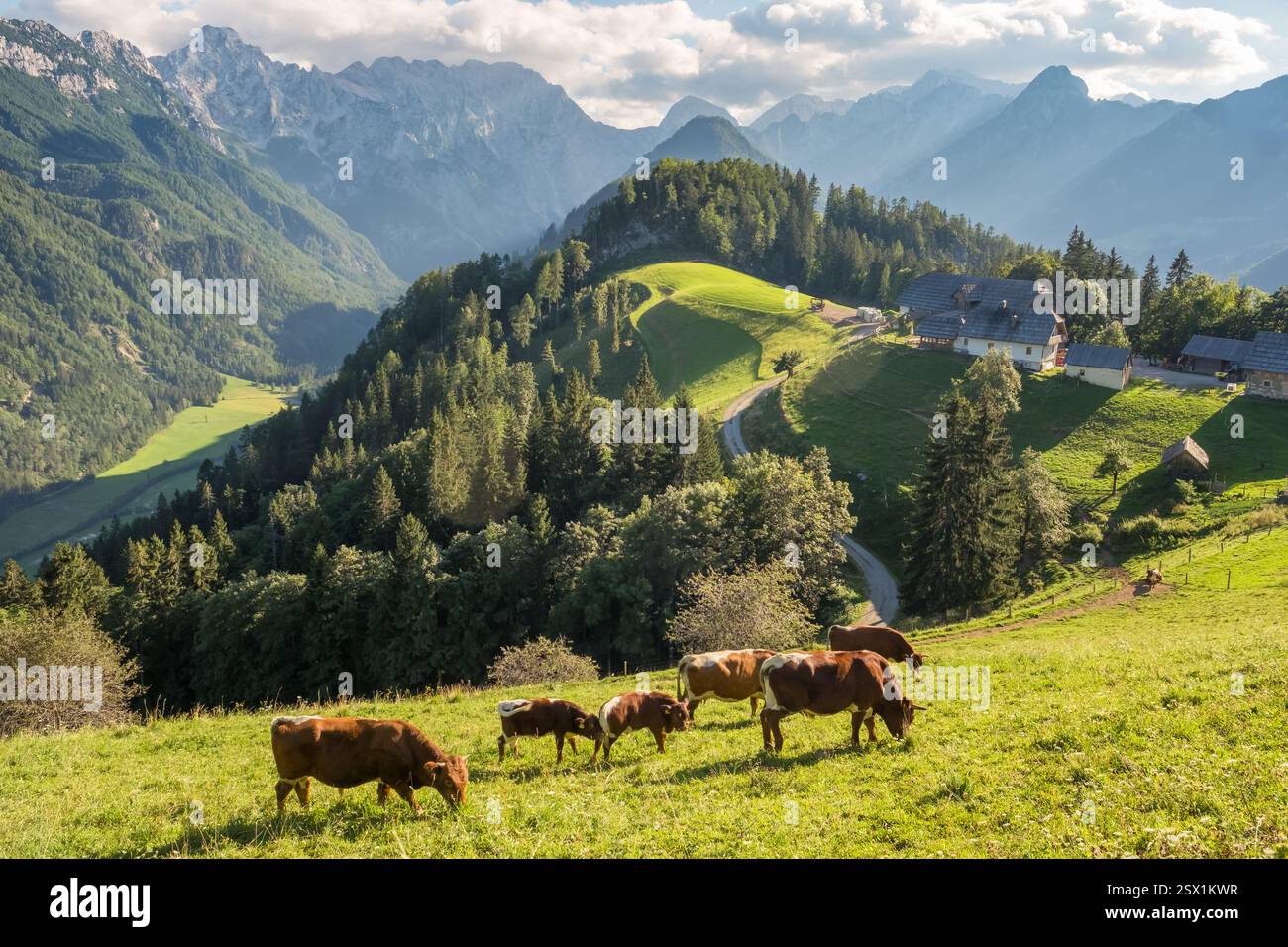 Beautiful green logar valley in hi-res stock photography and images - Alamy