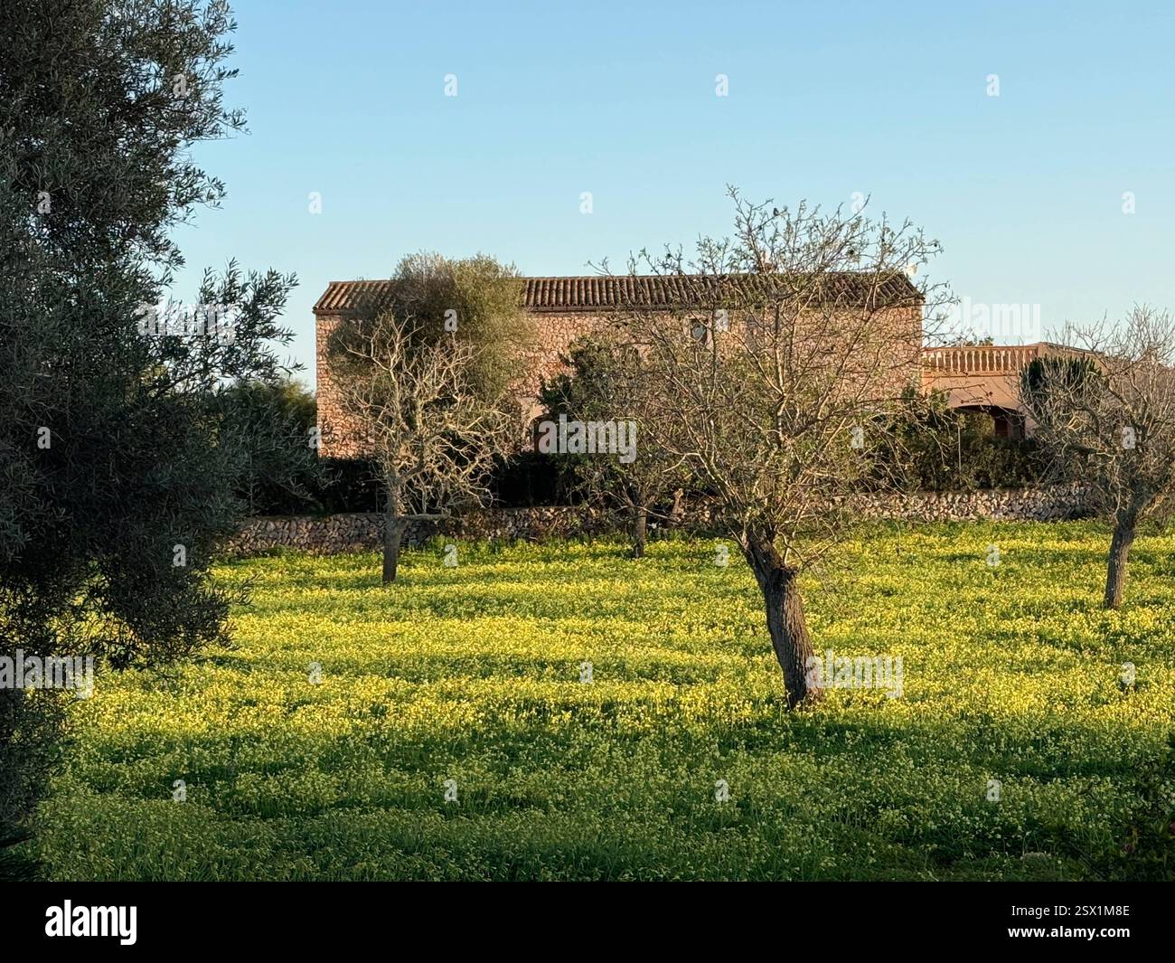 Mallorca Spain 20250220 Symbolbild, Landschaftsaufnahme Mallorca ...