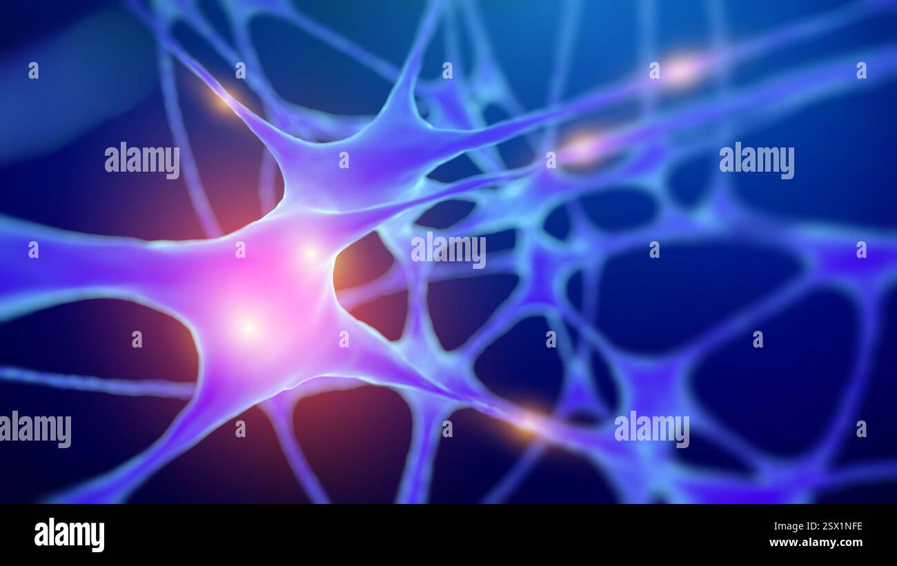 Human Neuron structure and Anatomy science background. Exploring Neurons brain and Synapse ...