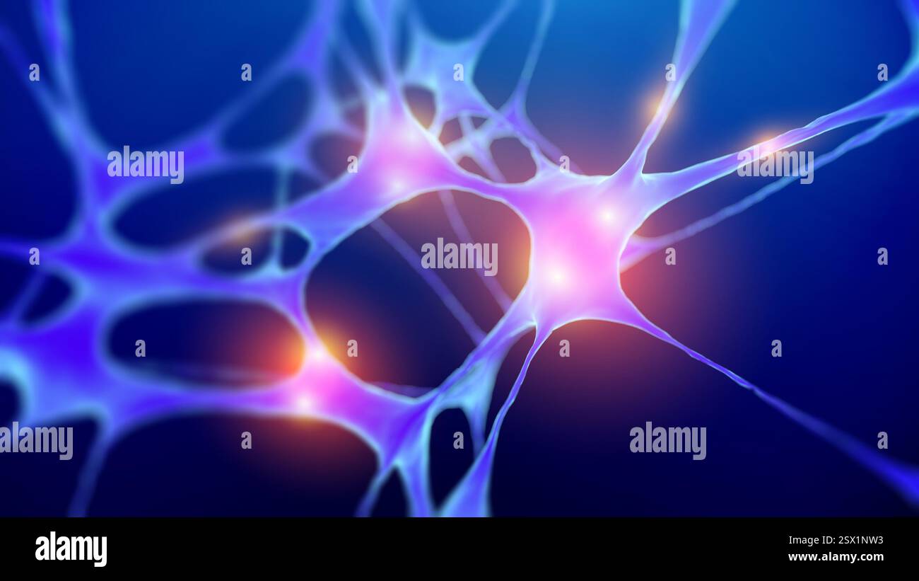 Human Neuron structure and Anatomy science background. Exploring Neurons brain and Synapse ...