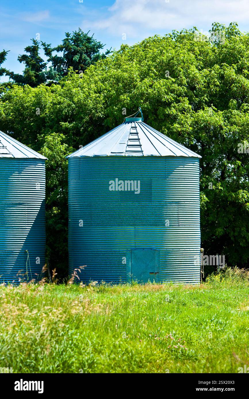 Two large green metal silos sit in a field. The silos are empty and the ...