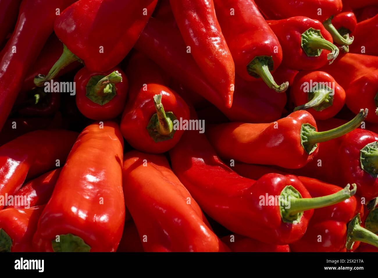 A vibrant display of fresh red peppers fills the market stall ...