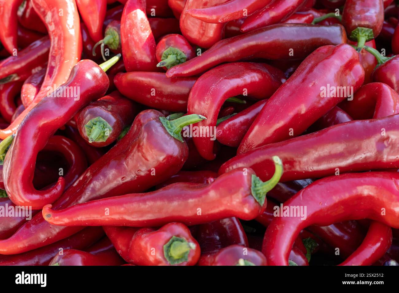A vibrant display of fresh red peppers fills the market stall ...