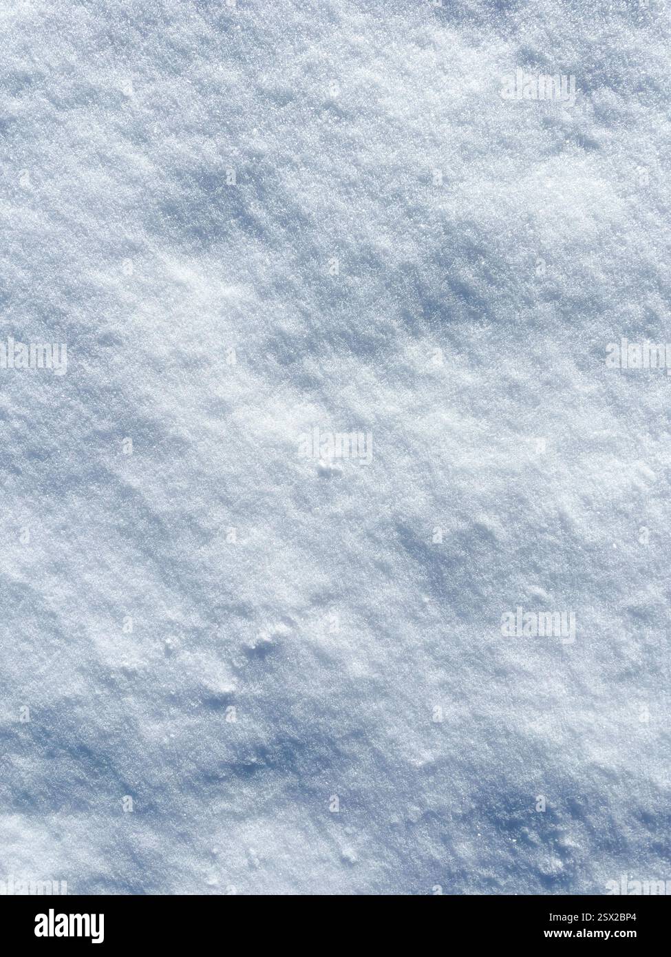 Natural fresh snow texture close up, surface of snow crust in sunny day ...