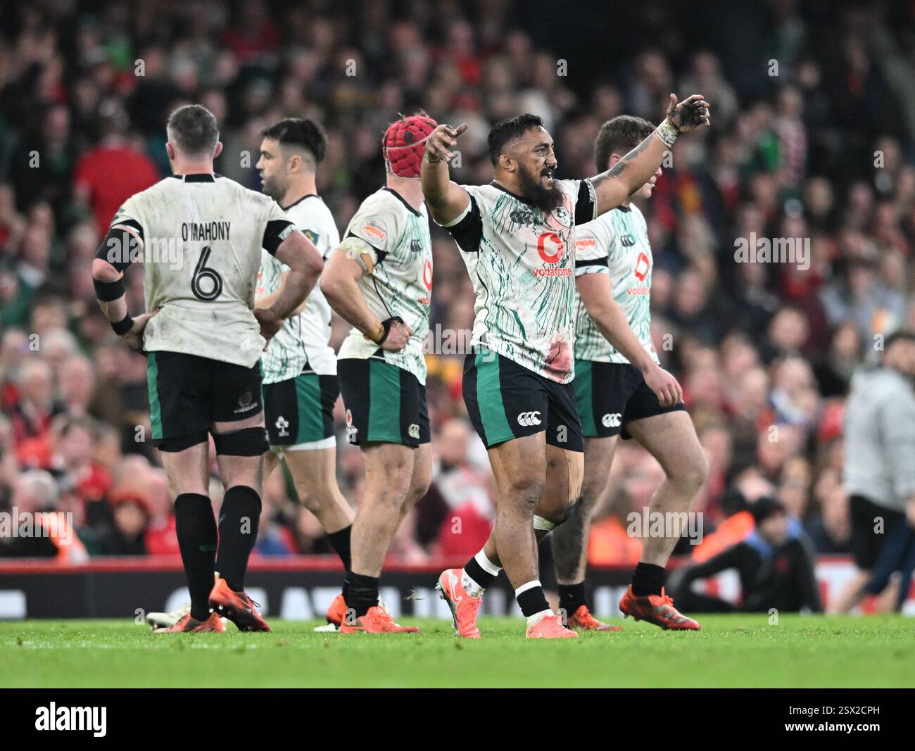 22nd February 2025; Principality Stadium, Cardiff, Wales: Six Nations ...