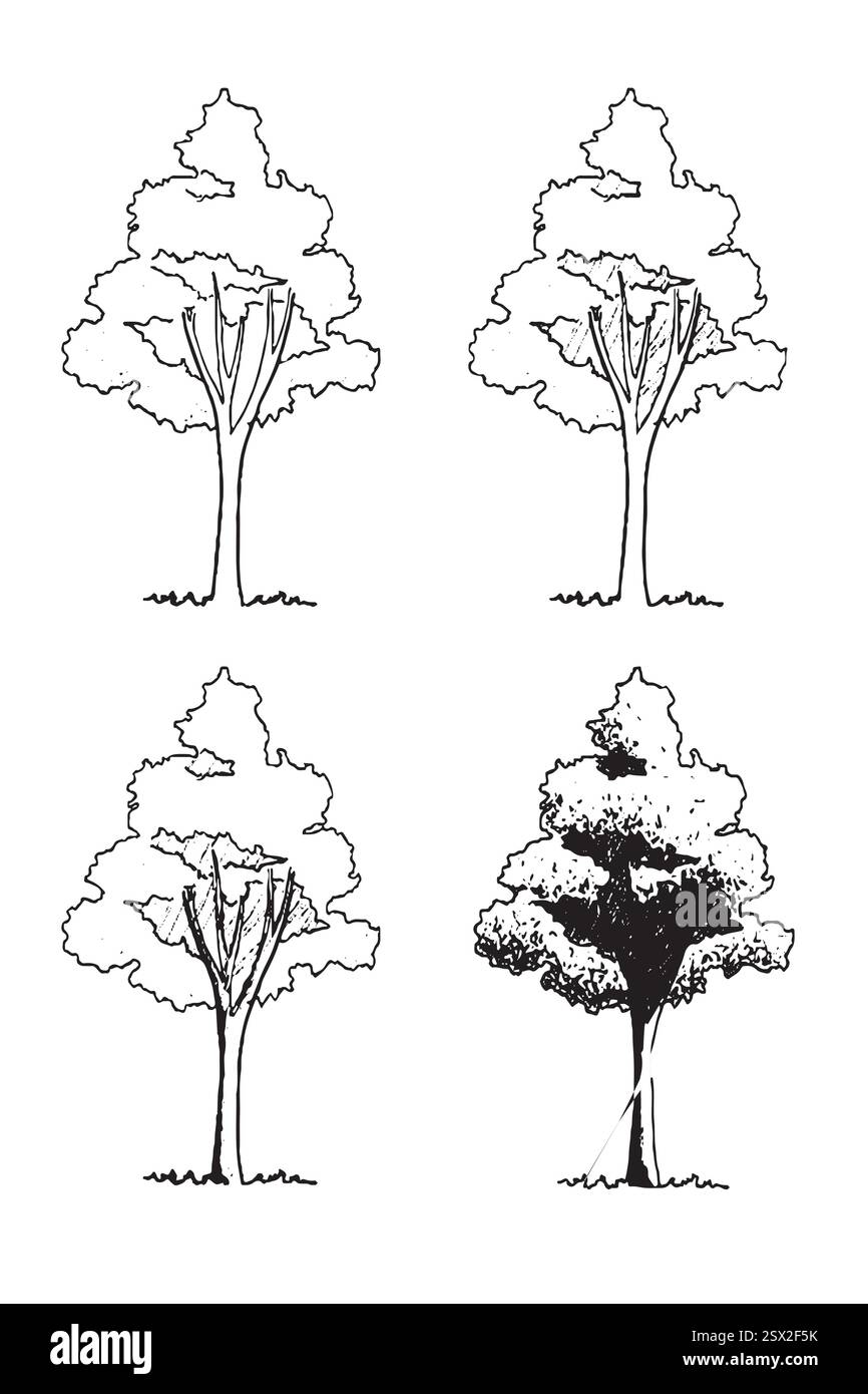 Hand drawn tree. Tree isolated on white background. Tree Sketch. vector ...