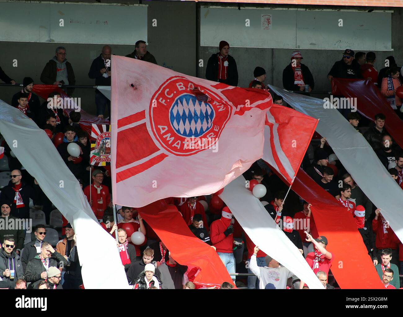 Fussball, Herren, Regionalliga Bayern, Saison 2024/2025, FC Bayern ...