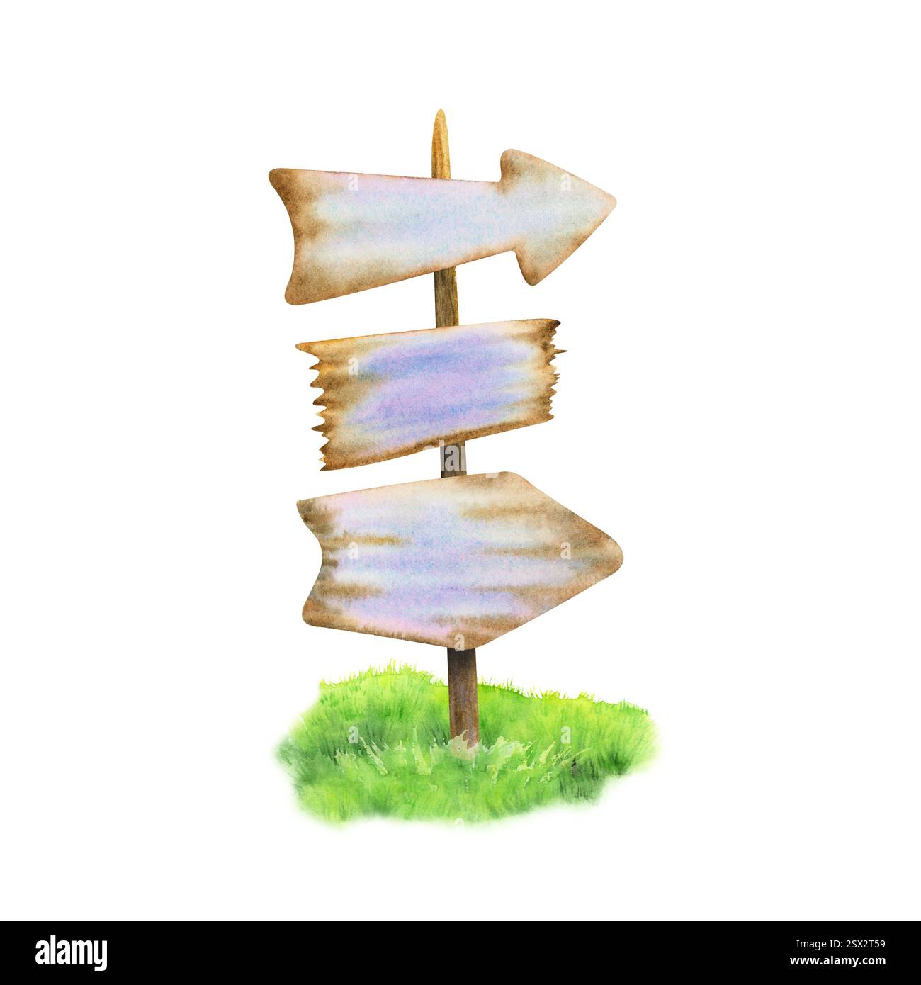 Colourful wooden board sign. Hand drawn watercolor illustration with ...