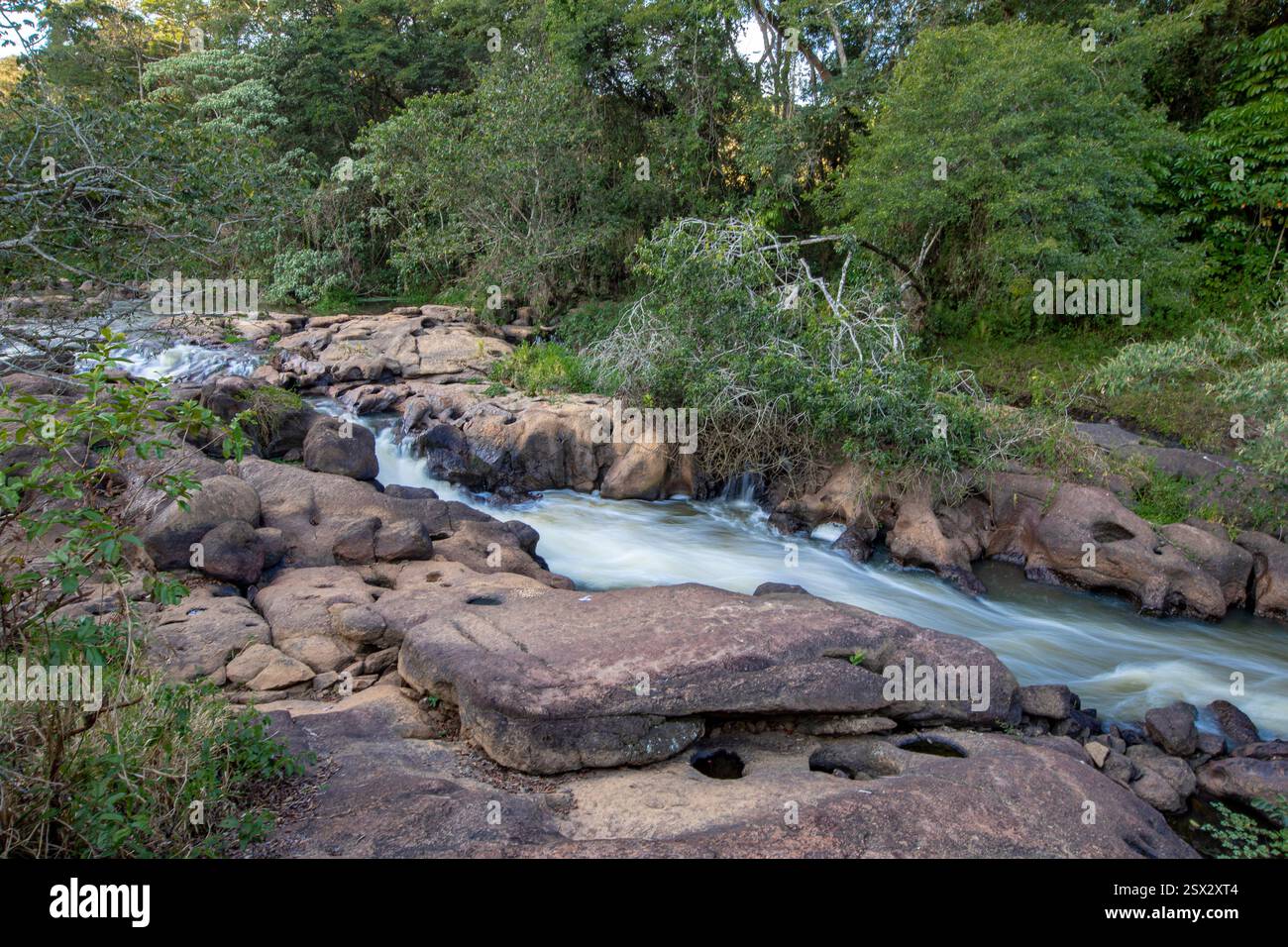 A river flowing through lush green with water motion blur. Brazilian ...