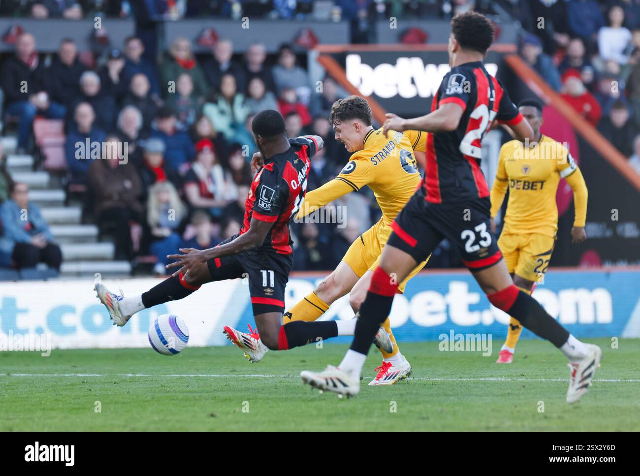 22nd February 2025; Vitality Stadium, Boscombe, Dorset, England ...