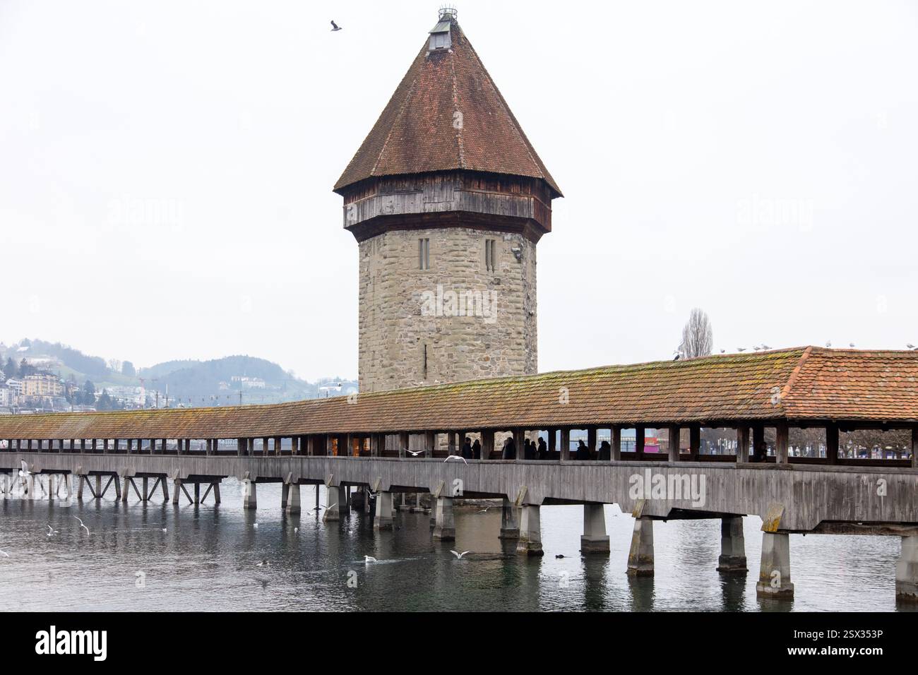January 14, 2025. Switzerland, Lucerne. Chapel Bridge and Water Tower ...