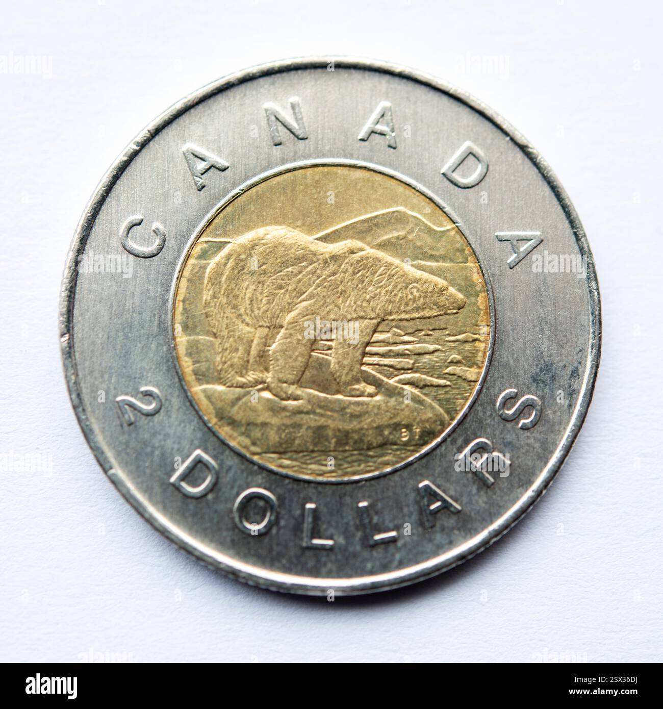 Still life of the back of a Canadian two dollar coin dated 2009 Stock ...