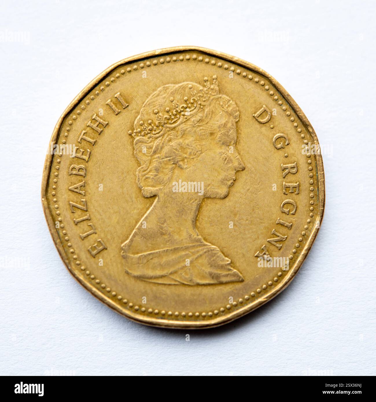 Still life of the front of a 1988 Canadian one dollar coin, also known ...