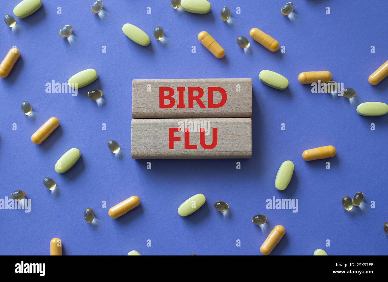 Bird Flu symbol. Concept word Bird Flu on wooden blocks. Beautiful ...