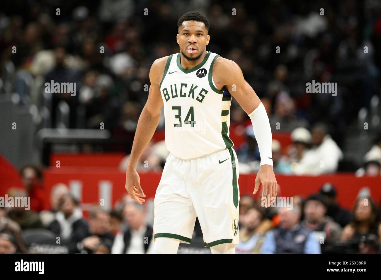 Milwaukee Bucks forward Giannis Antetokounmpo (34) in action during the ...