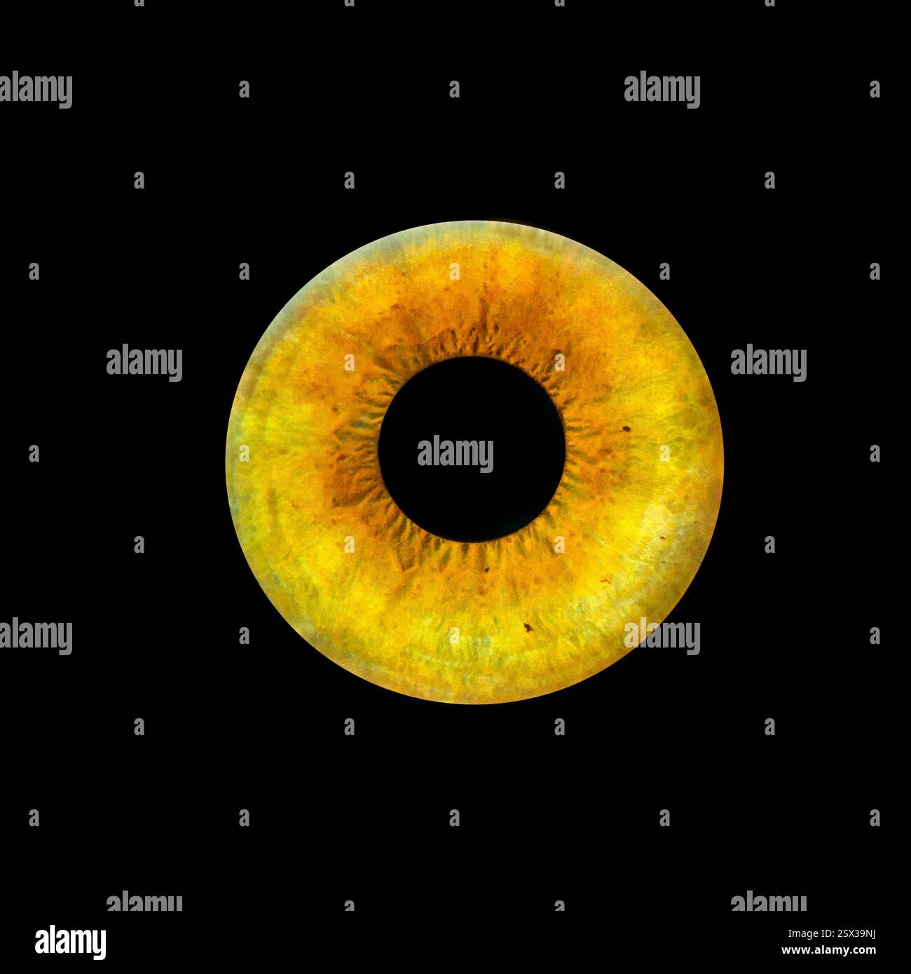 Intricate color variations hi-res stock photography and images - Alamy