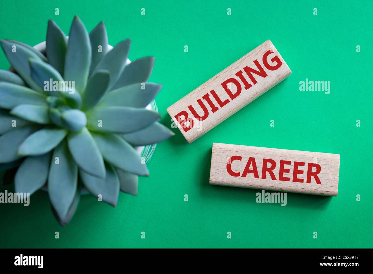 Building Career symbol. Wooden blocks with words Building Career ...