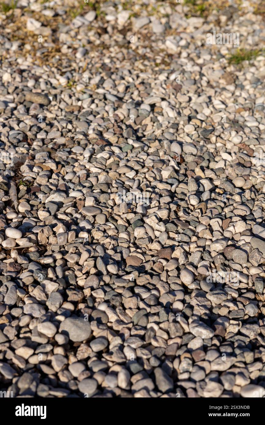 A dense layer of small gray stones covers the ground in a natural area ...