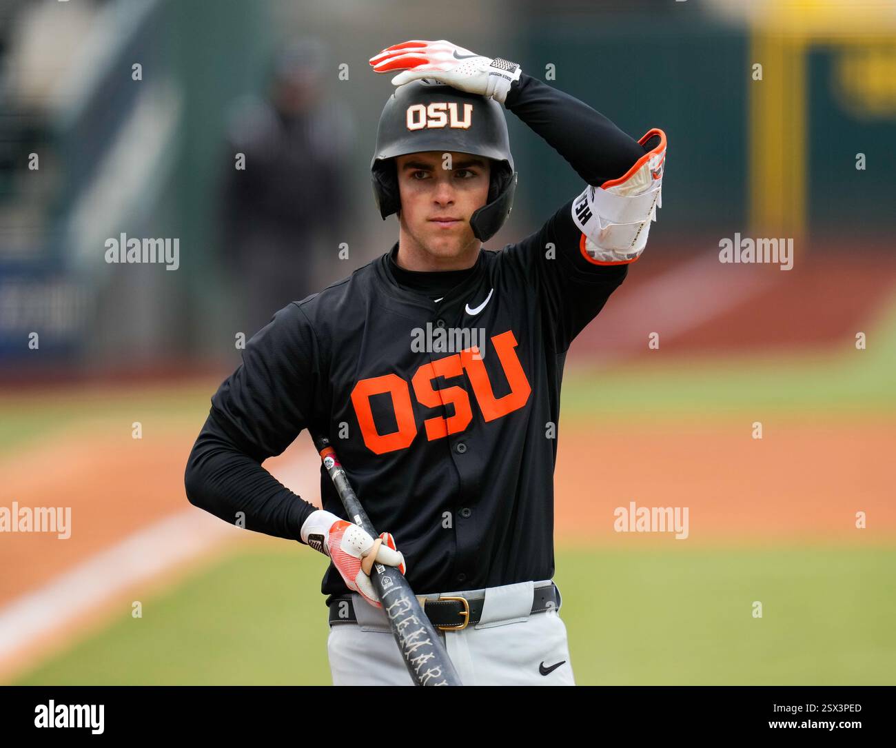 Gavin turley hi-res stock photography and images - Alamy