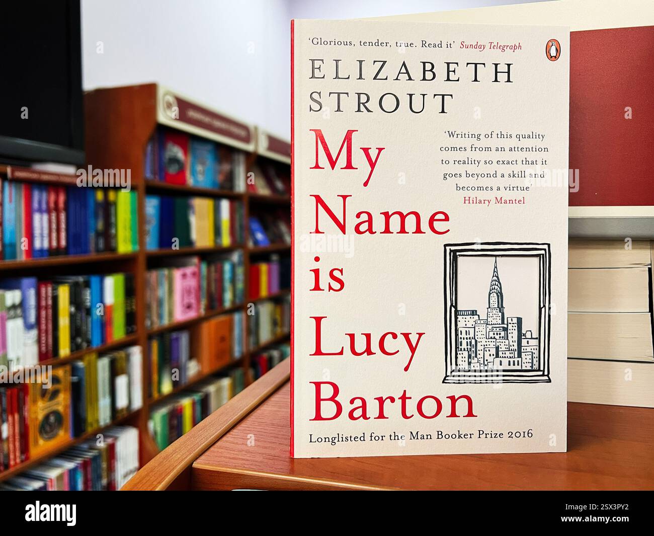 Lviv, Ukraine - February 20, 2025: Focus on the book My Name is Lucy ...