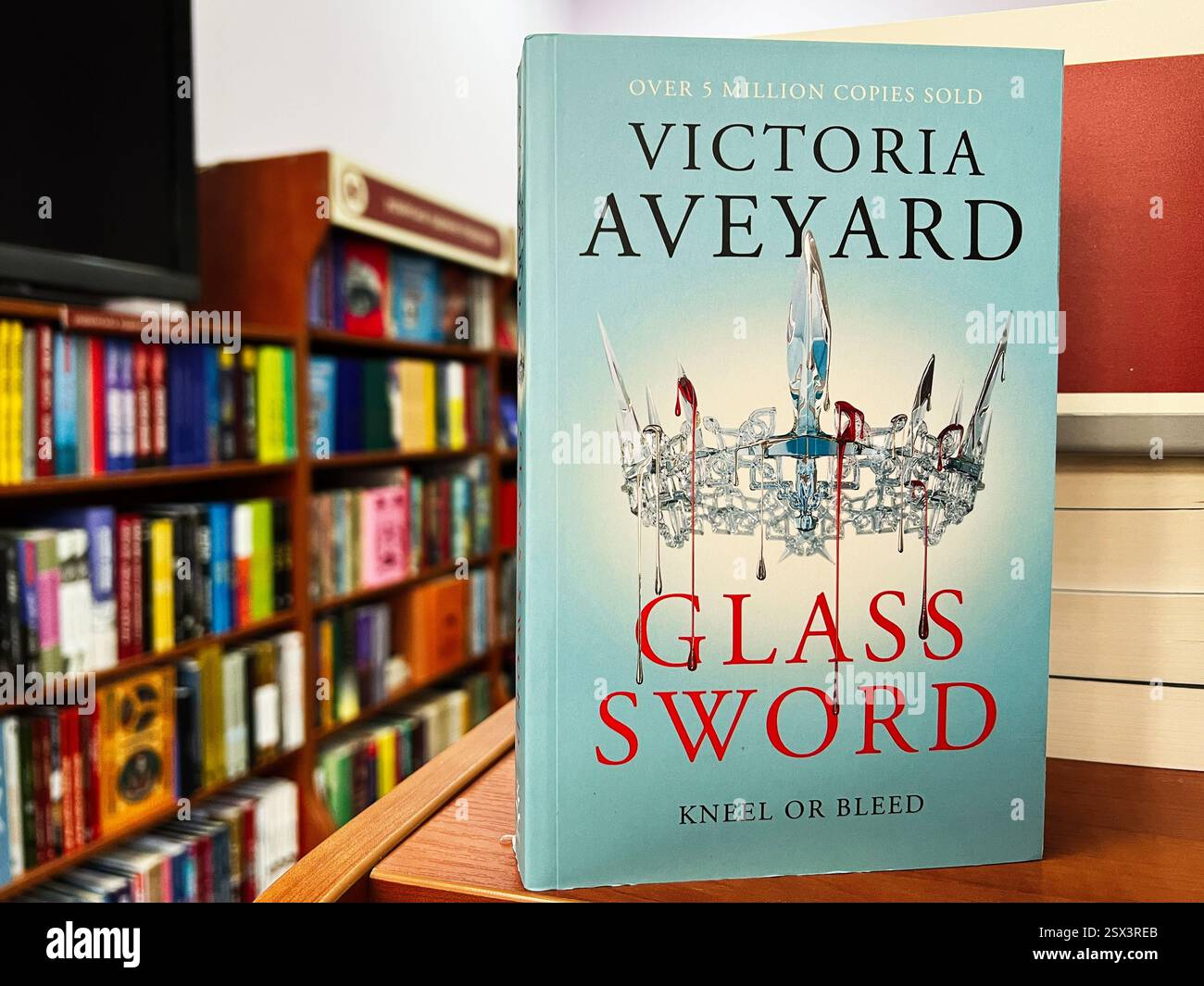 Lviv, Ukraine - February 20, 2025: A focused view of the book Glass ...