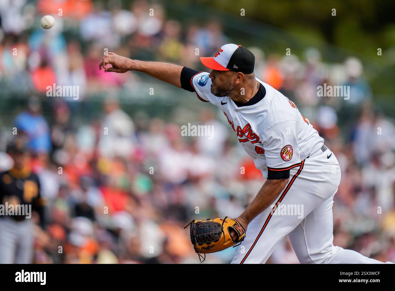 Baltimore Orioles starting pitcher Albert Suarez delivers during the ...