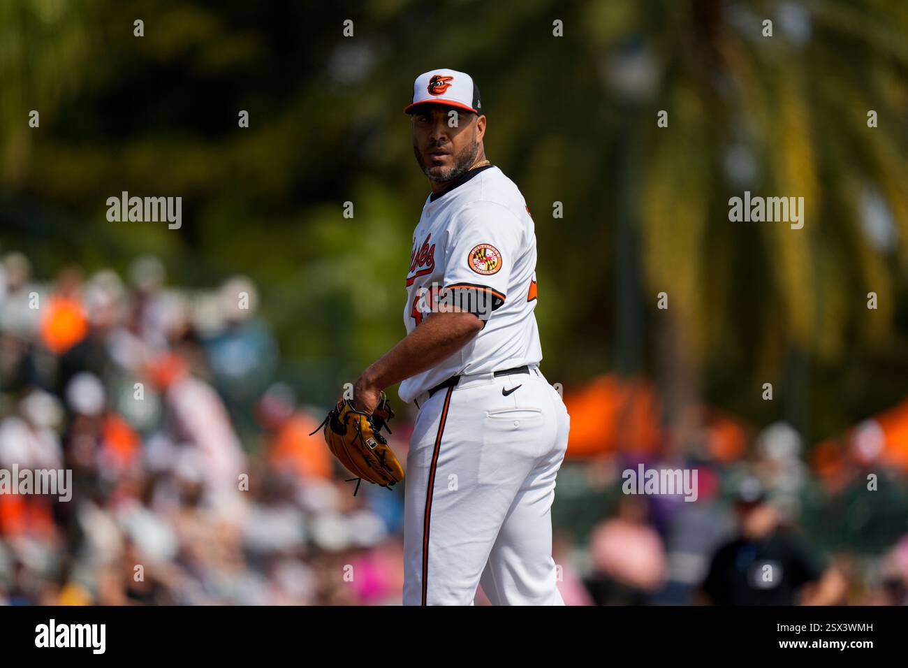 Baltimore Orioles starting pitcher Albert Suarez looks back at ...
