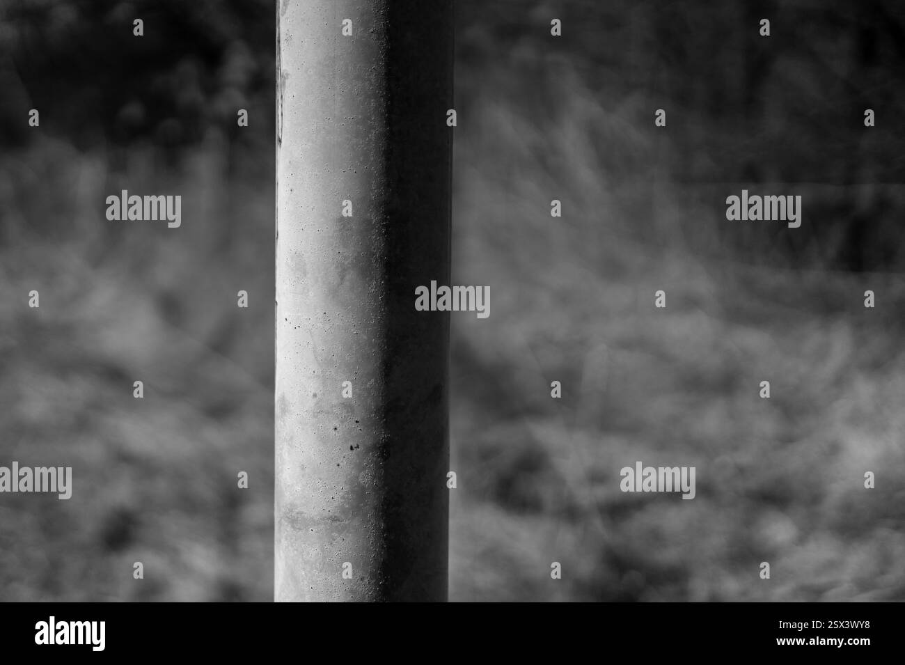 Peaceful park scenery Black and White Stock Photos & Images - Alamy