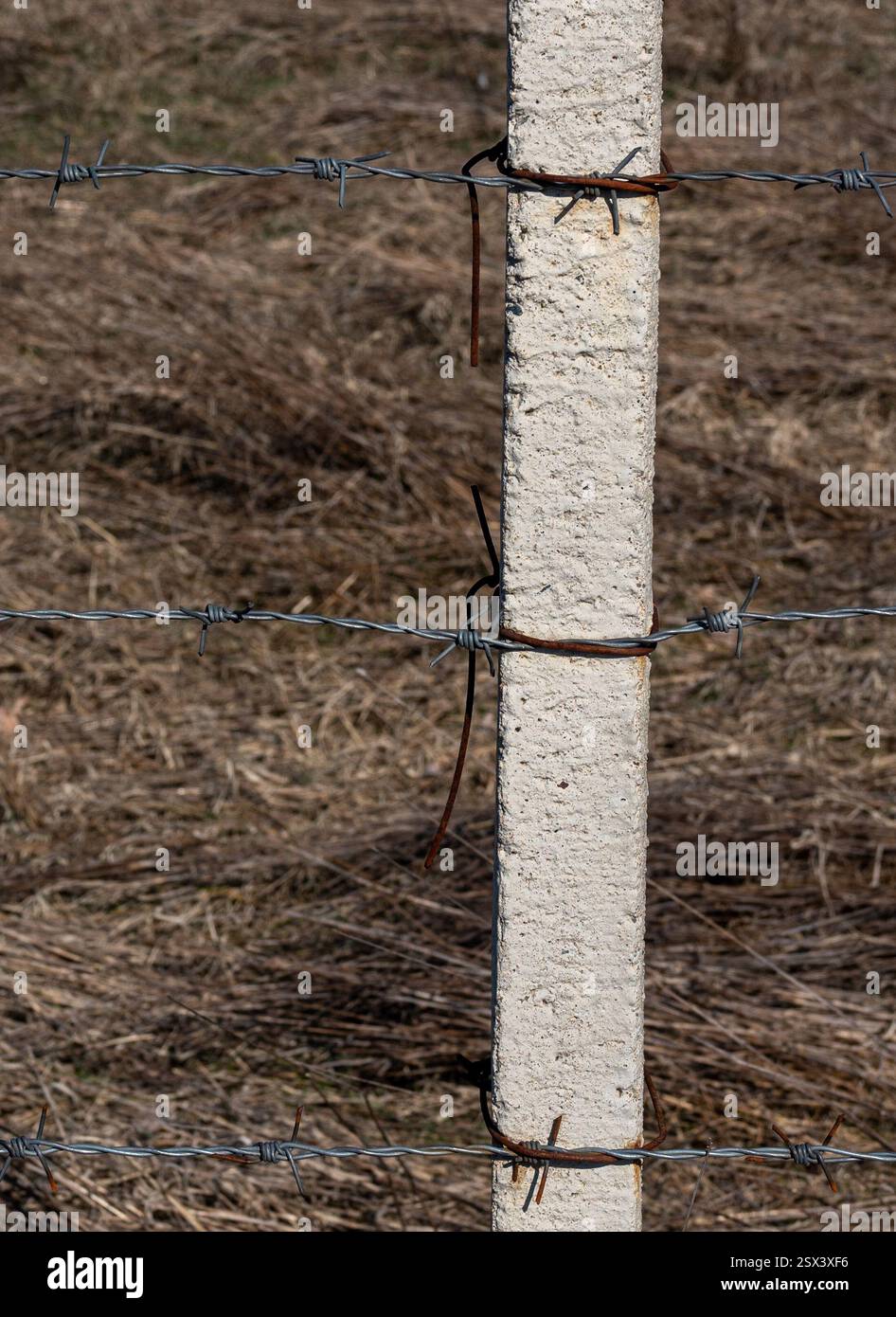 White Concrete Pillar Bound by Barbed Wire Stock Photo - Alamy
