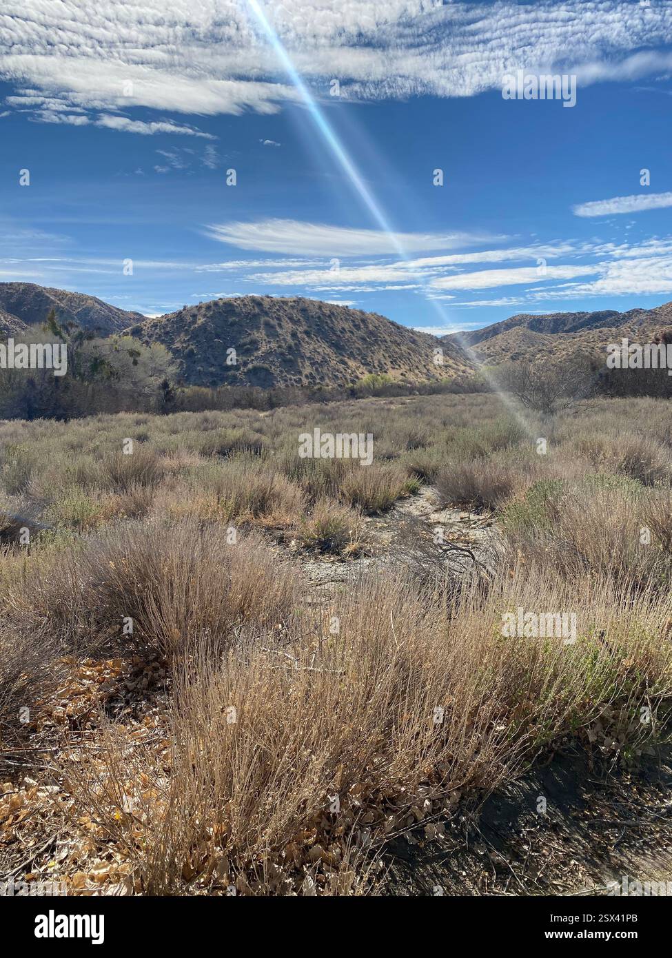 Sunshine, Blue Skies and Clouds Over Big Morongo Canyon Preserve in ...