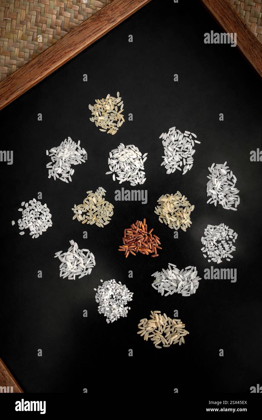 different kinds of organic asian rice variety grains on black ...