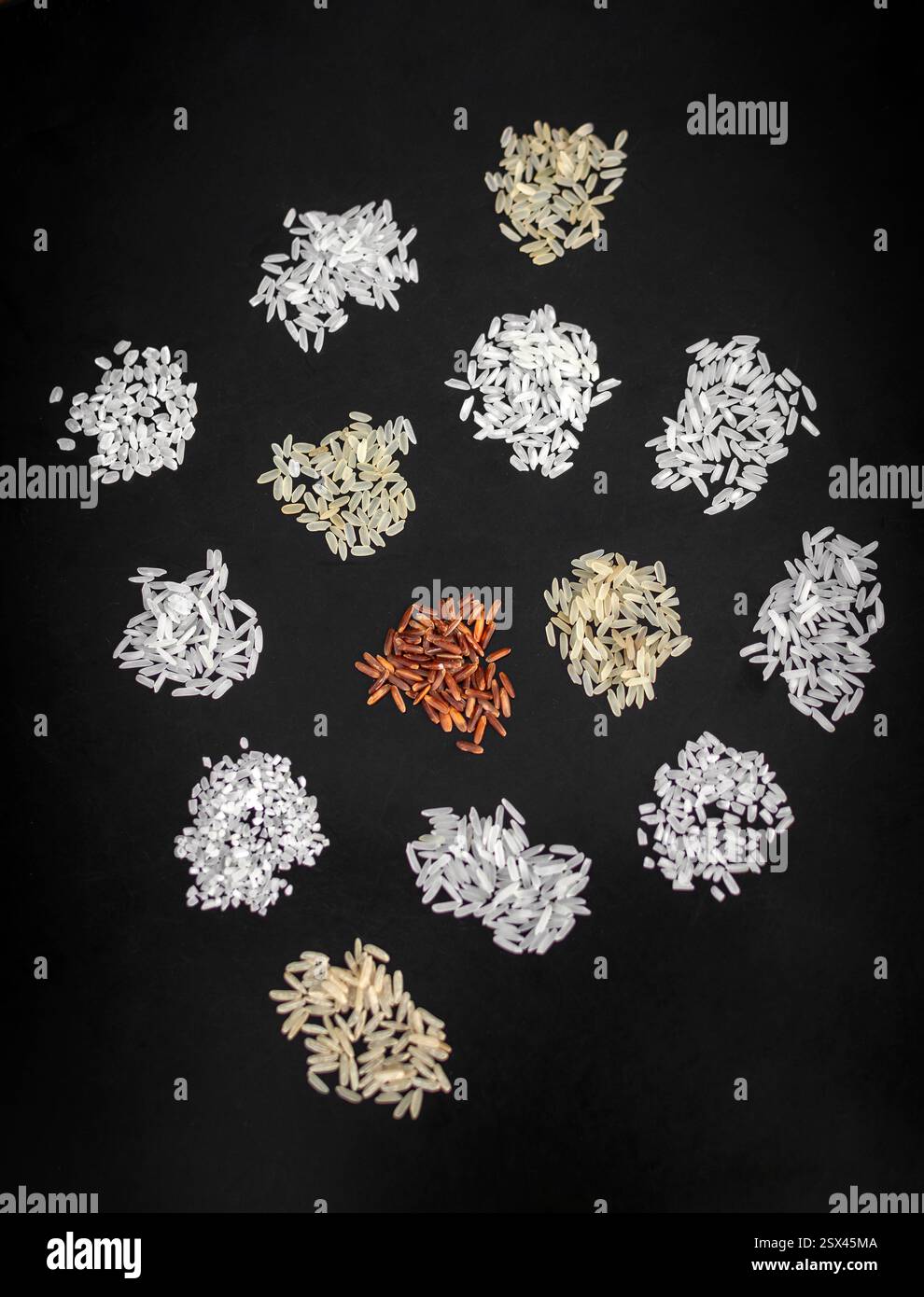 different kinds of organic asian rice variety grains on black ...