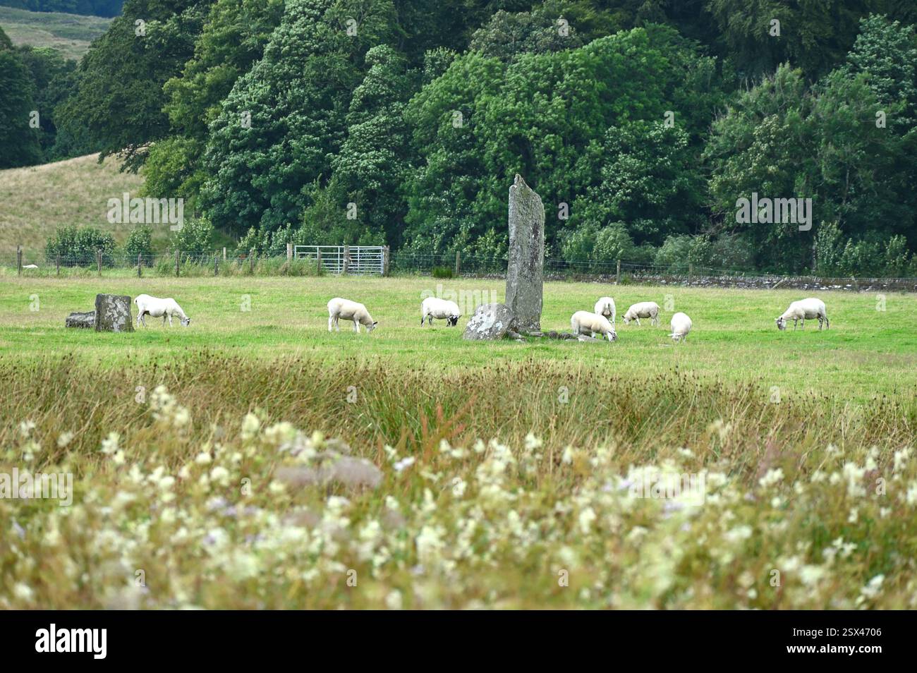 Nether Largie standing stones, Kilmartin Glen Lochgilphead Scotland ...