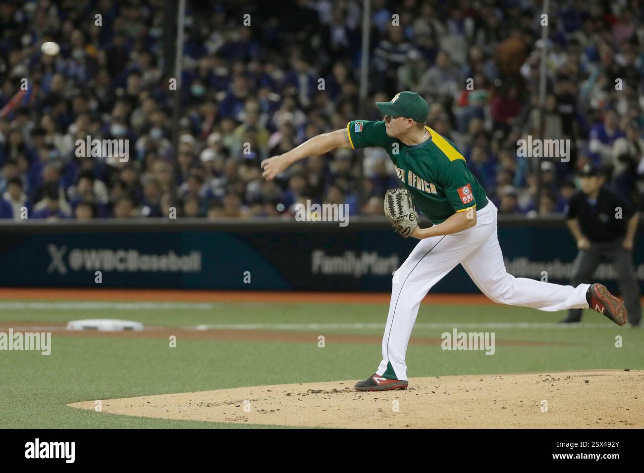 South Africa pitcher Damon King (28) throws during the second inning of ...