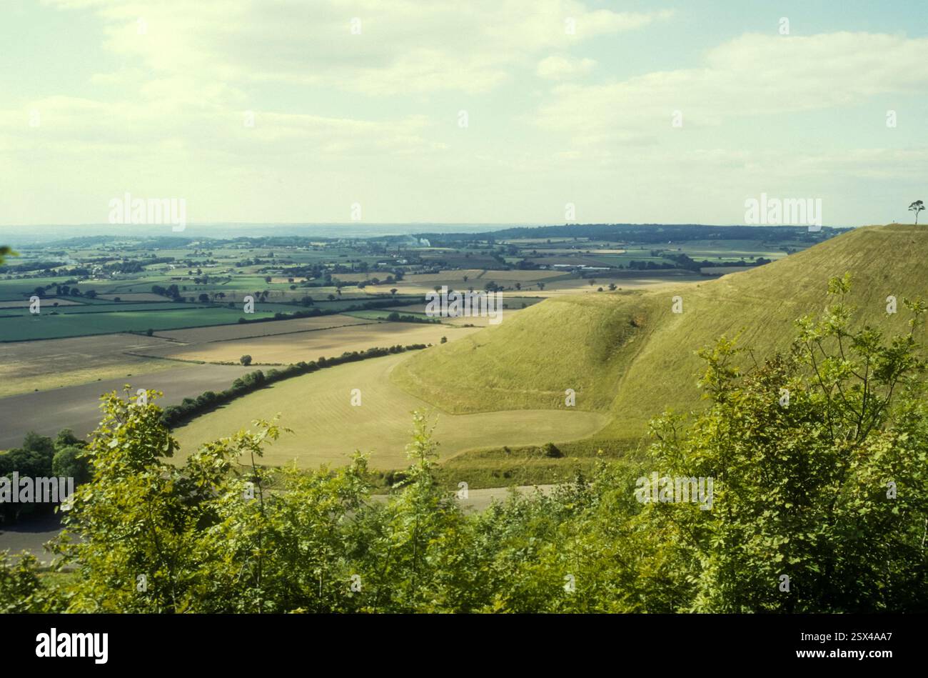 Roundway Down near Devizes, Wiltshire Stock Photo - Alamy