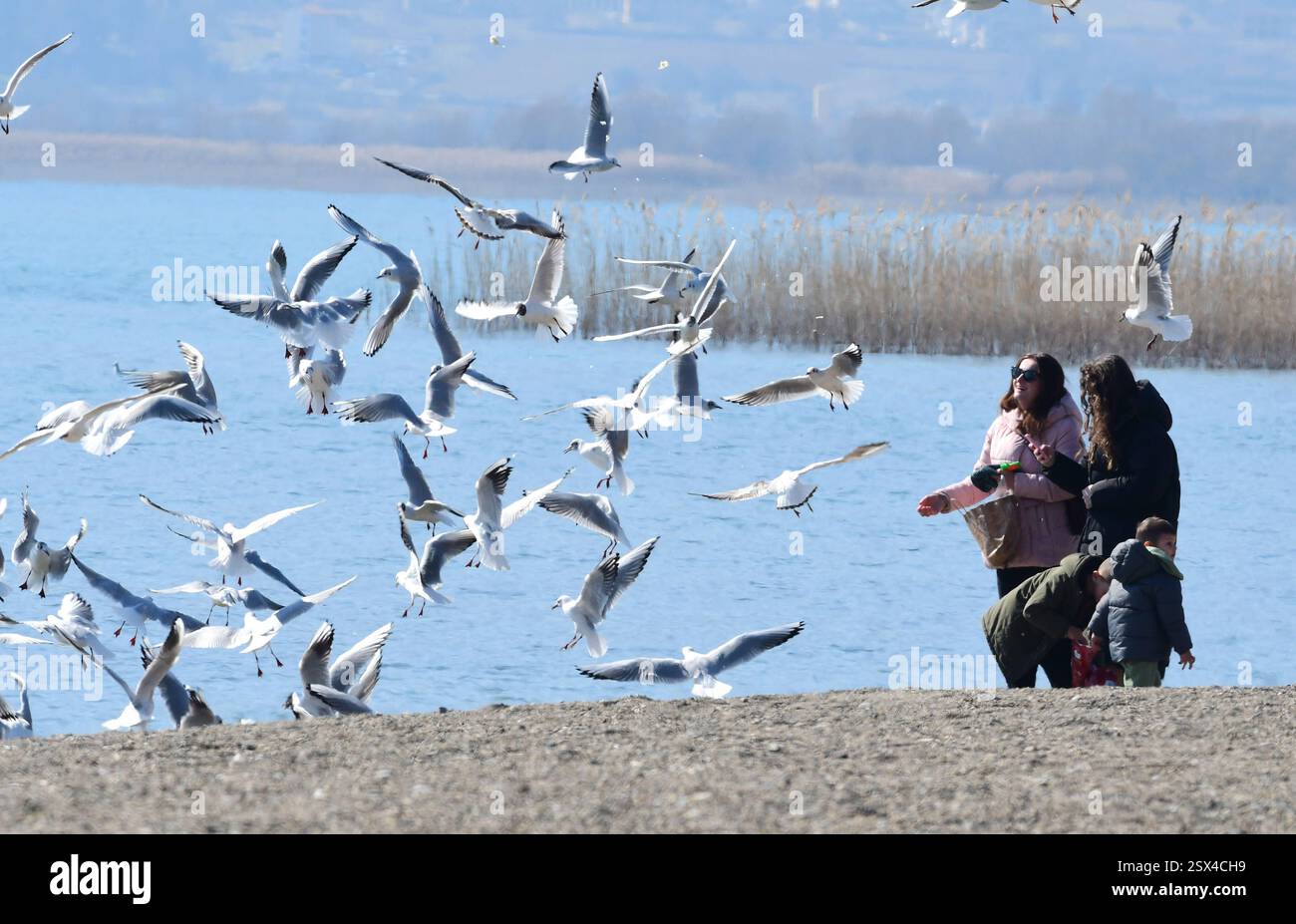 People are enjoying winter sunshine while feeding the birds on the ...