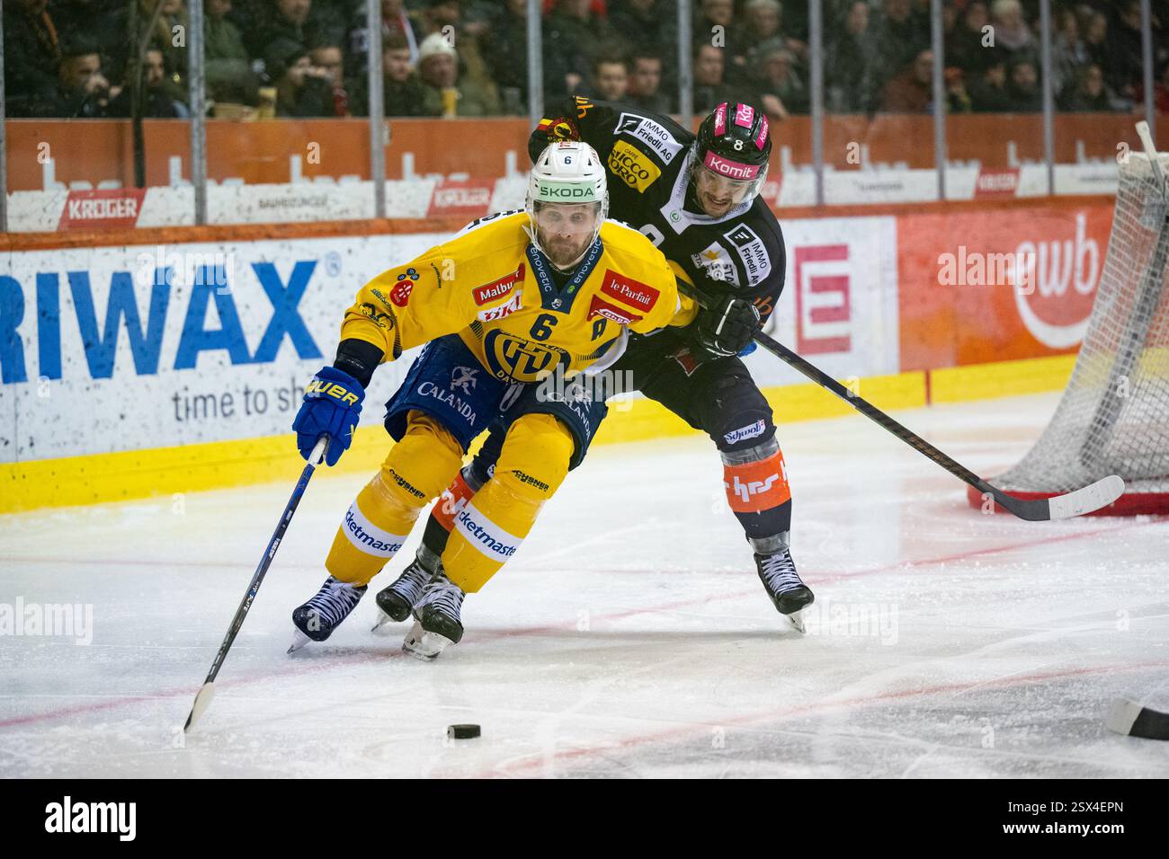 22/02/2025, Bern, PostFinance Arena, NL: SC Bern - HC Davos, #8 Marc ...