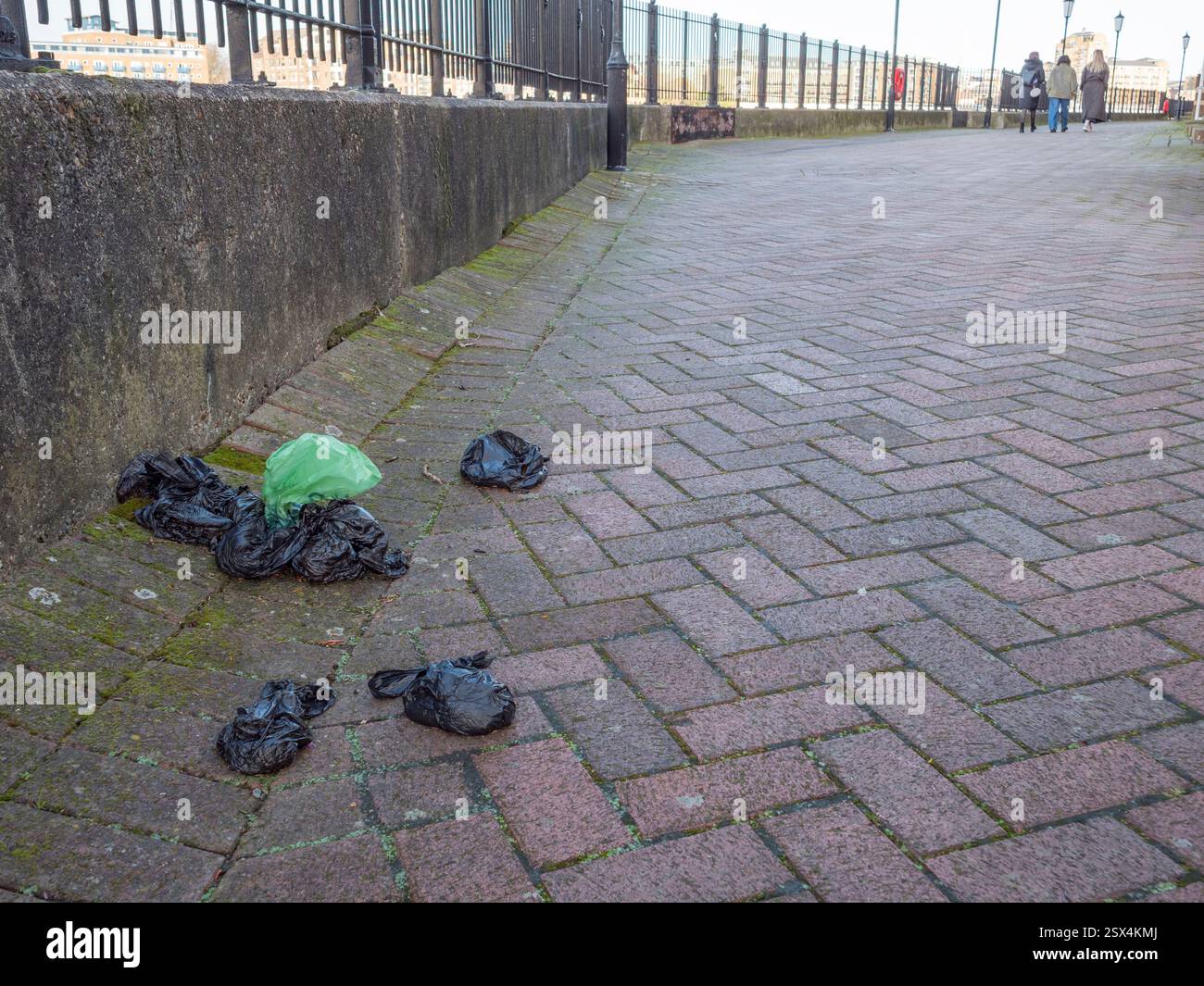 Bags of discarded dog poo on the Thames path in London, UK Stock Photo ...