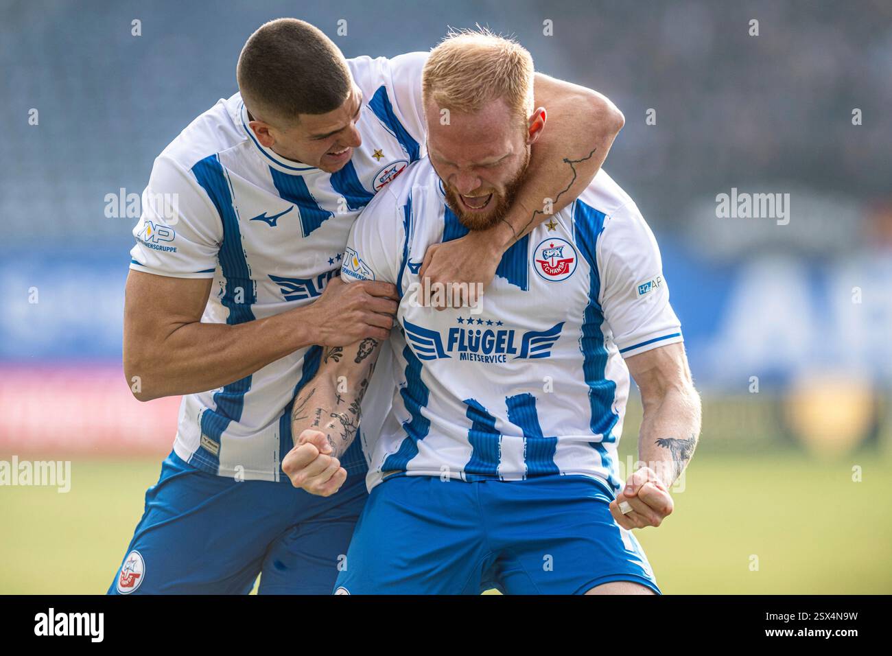 Rostock, Deutschland 22. Februar 2025: 3. Liga - 2024/2025 - FC Hansa ...