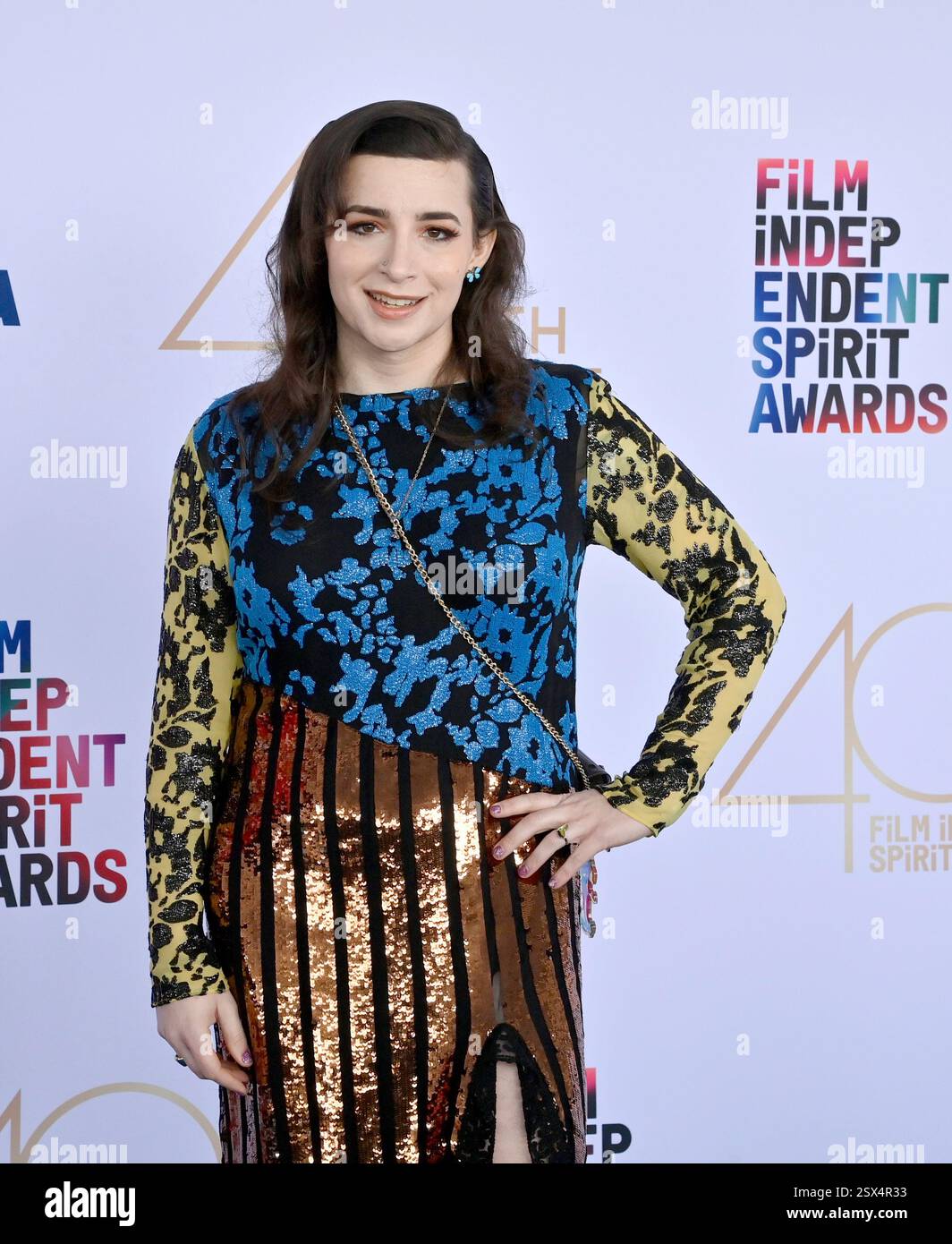 Santa Monica, United States. 22nd Feb, 2025. Vera Drew arrives for the ...