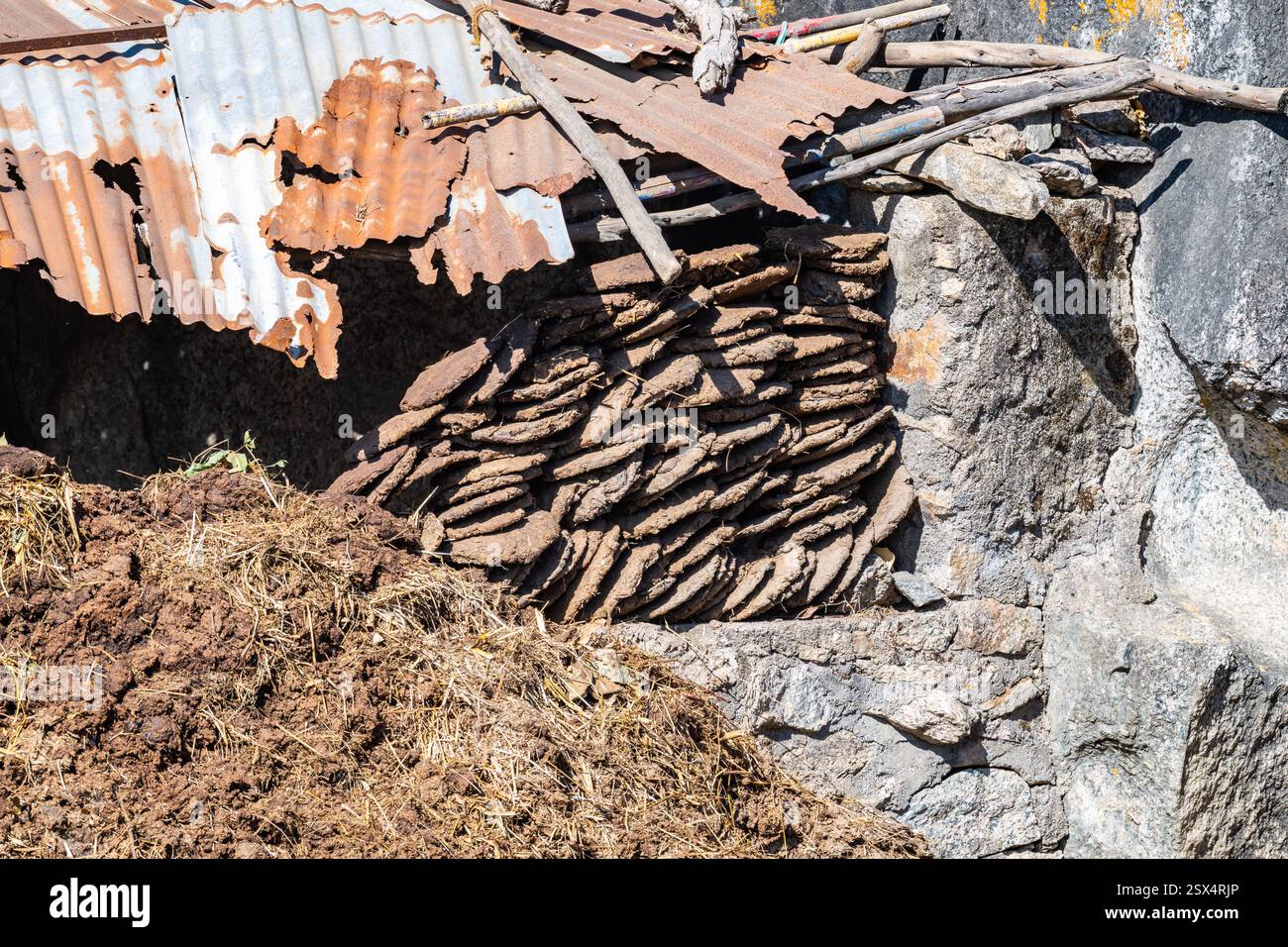 Cow pies, dried up cattle dung, are used as fuel in some part of world ...