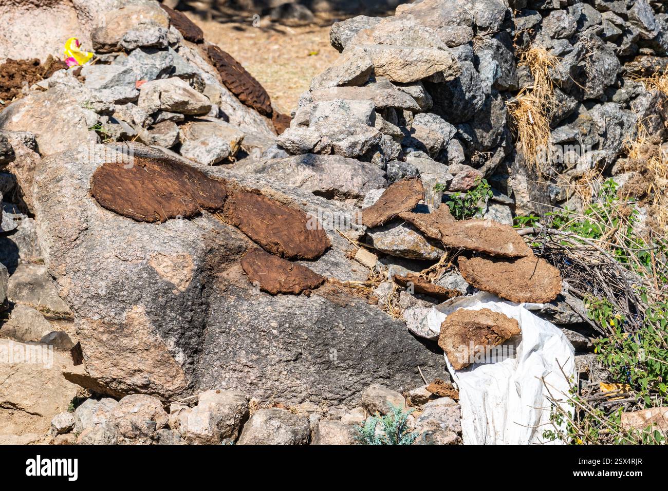 Cow pies, dried up cattle dung, are used as fuel in some part of world ...