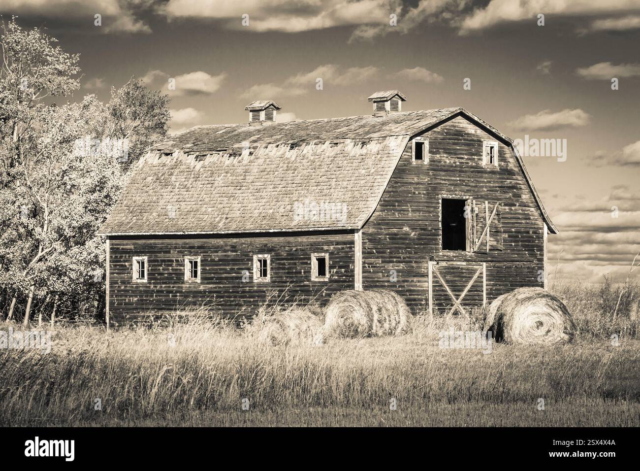 Barn with hay in the front. The barn is old and has a lot of windows ...