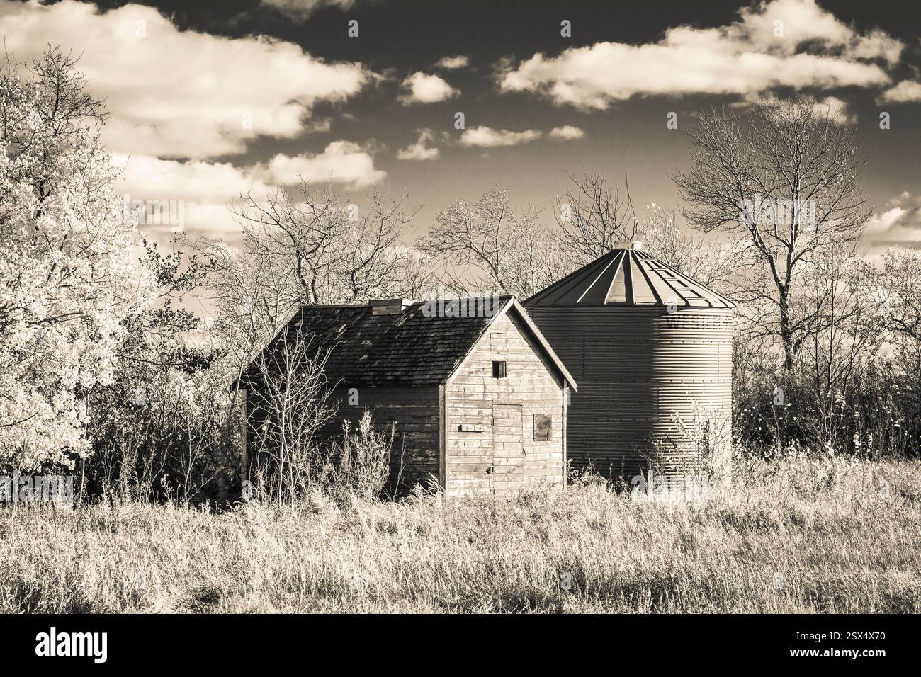 Small house and a silo are in a field. The house is old and the silo is ...