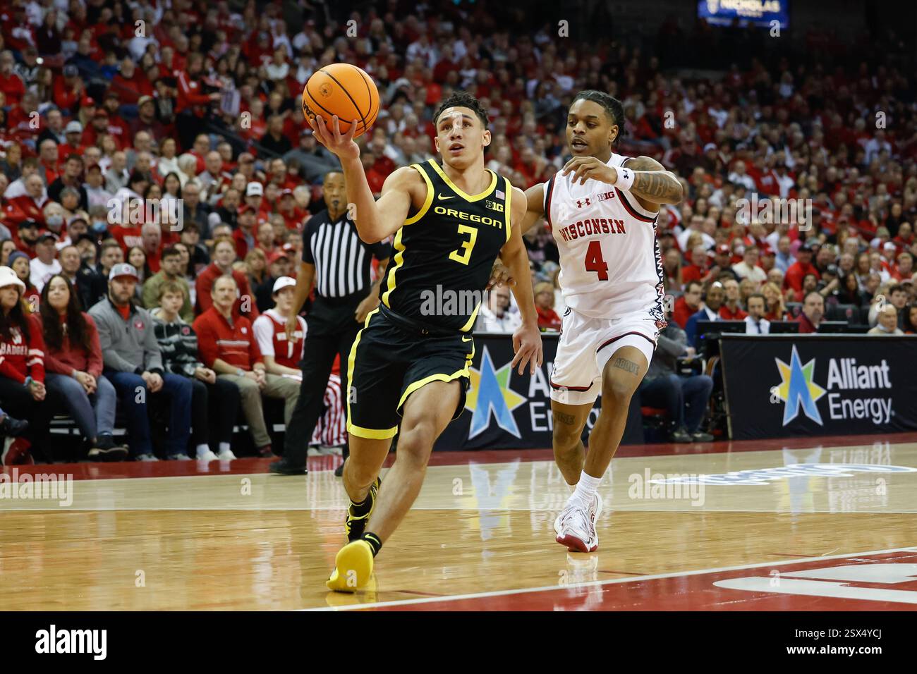 February 22, 2025: Oregon Ducks guard Jackson Shelstad (3) drives in ...