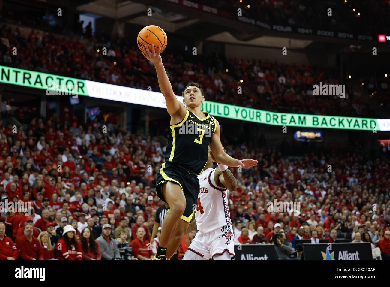 Madison, WI, USA. 22nd Feb, 2025. Oregon Ducks guard Jackson Shelstad ...